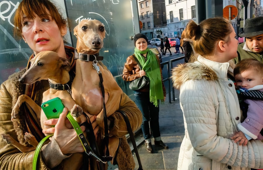 LensCulture Winners Galleries